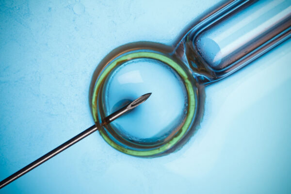 Tubal Reversal Regret? Exploring IVF As An Alternative Pathway To ...